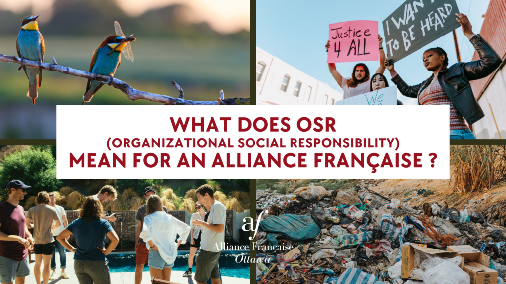 What does OSR (Organizational Social Responsibility) mean for an ...