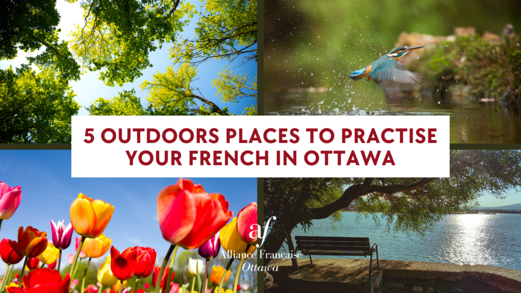 5 outdoors places to practise your French in Ottawa - Alliance ...